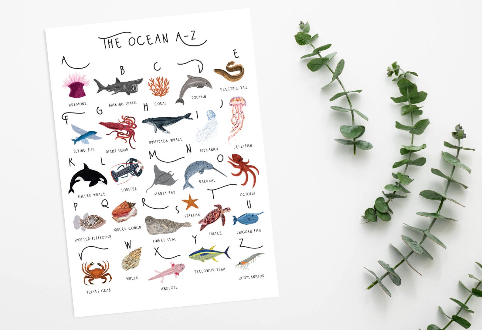 Ocean A-Z Print Ocean Animals Poster Nursery Ocean Decor - Etsy