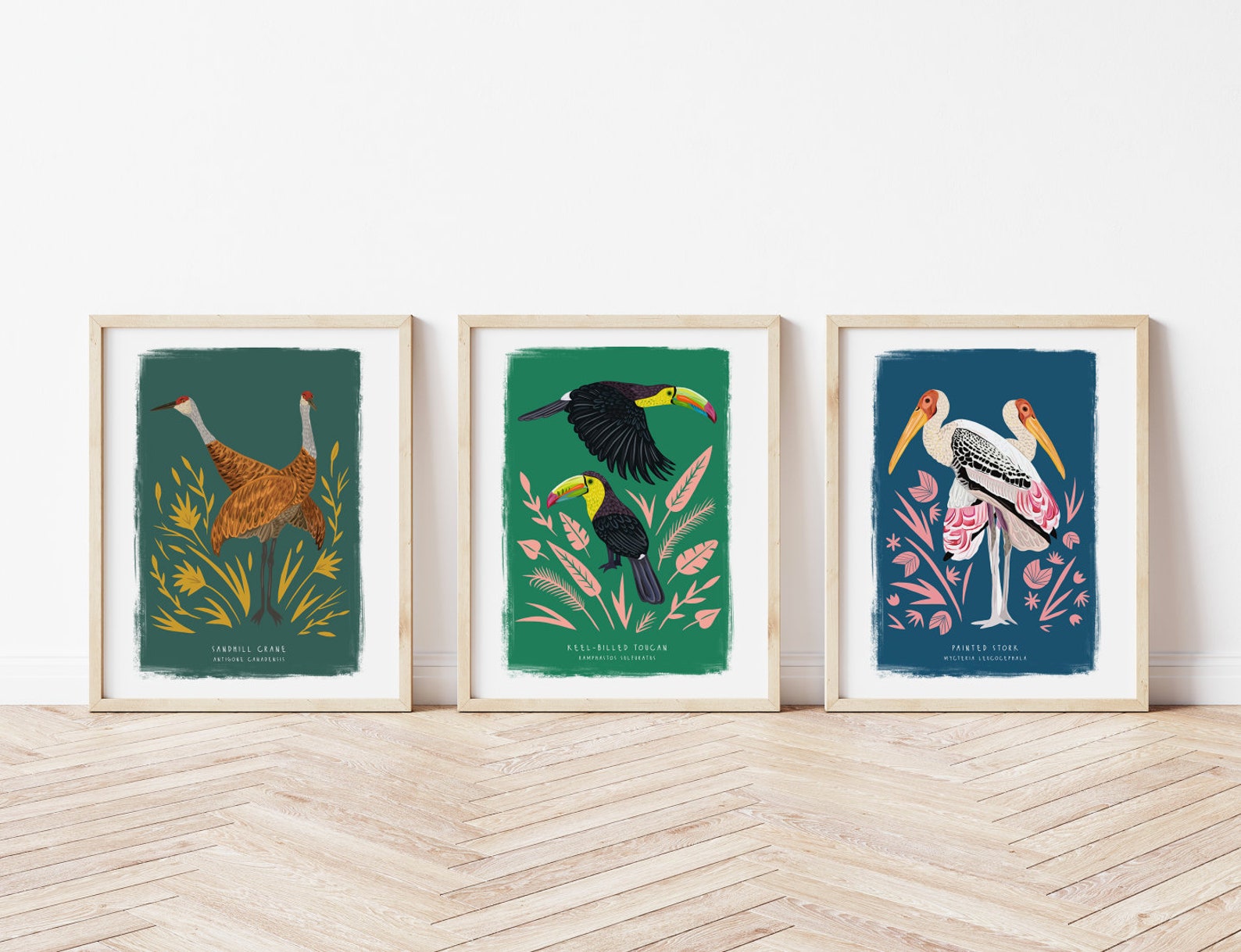 Any 3 Bird Posters Mix and Match Print Deal Bird | Etsy