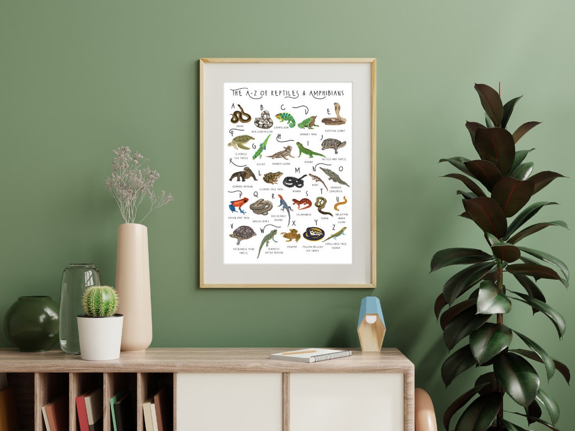 A-Z of Reptiles & Amphibians Poster, Alphabet Print, Reptiles and ...