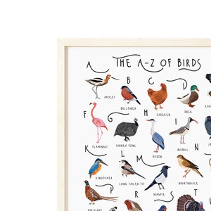 A-Z of Birds Poster, Bird Species Print, Bird Poster, Bird Lovers Gift ...