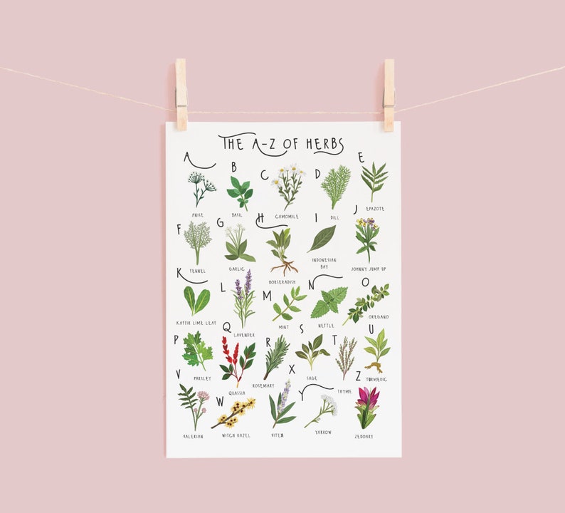 A-Z of Herbs Poster, Kitchen Alphabet, Herbs Poster Illustration ...
