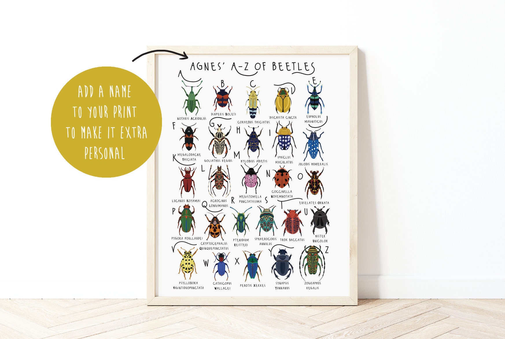 A-Z of Beetles Poster Beetles Species Print Beetles Poster - Etsy UK