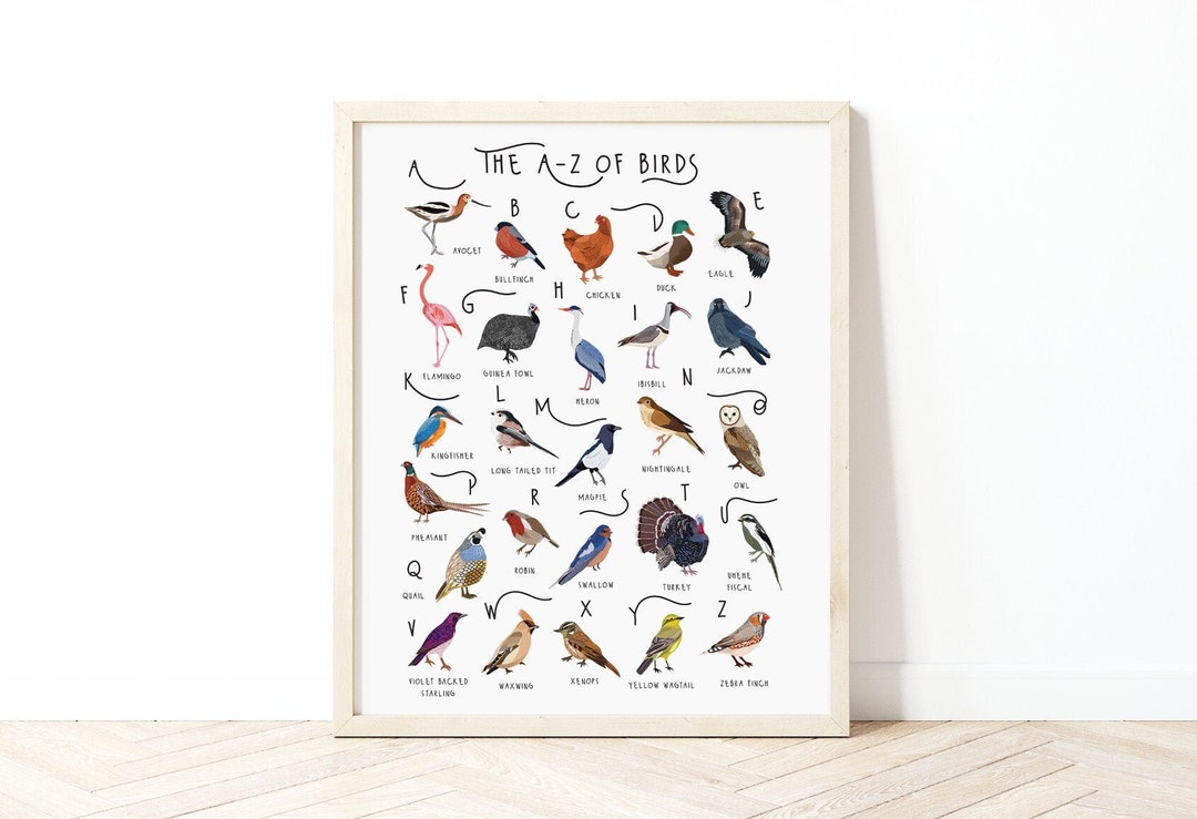 A-Z of Birds Poster, Bird Species Print, Bird Poster, Bird Lovers Gift ...