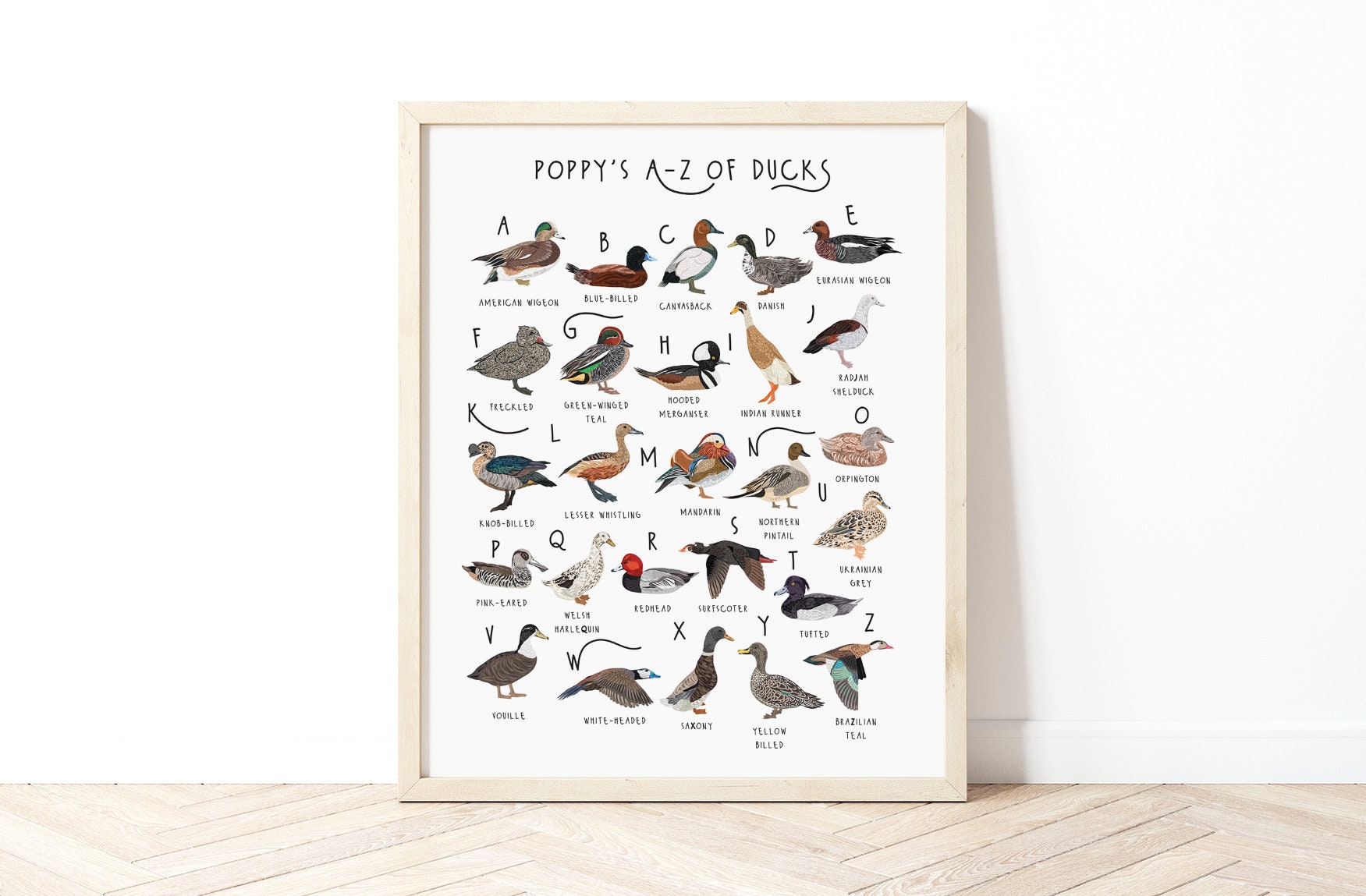 A-Z of Ducks Poster Ducks Alphabet Duck Poster Illustration - Etsy UK