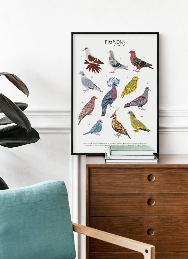 Types of Pigeons Print, Pigeons Poster, Pigeons Print, Pigeon Gift ...