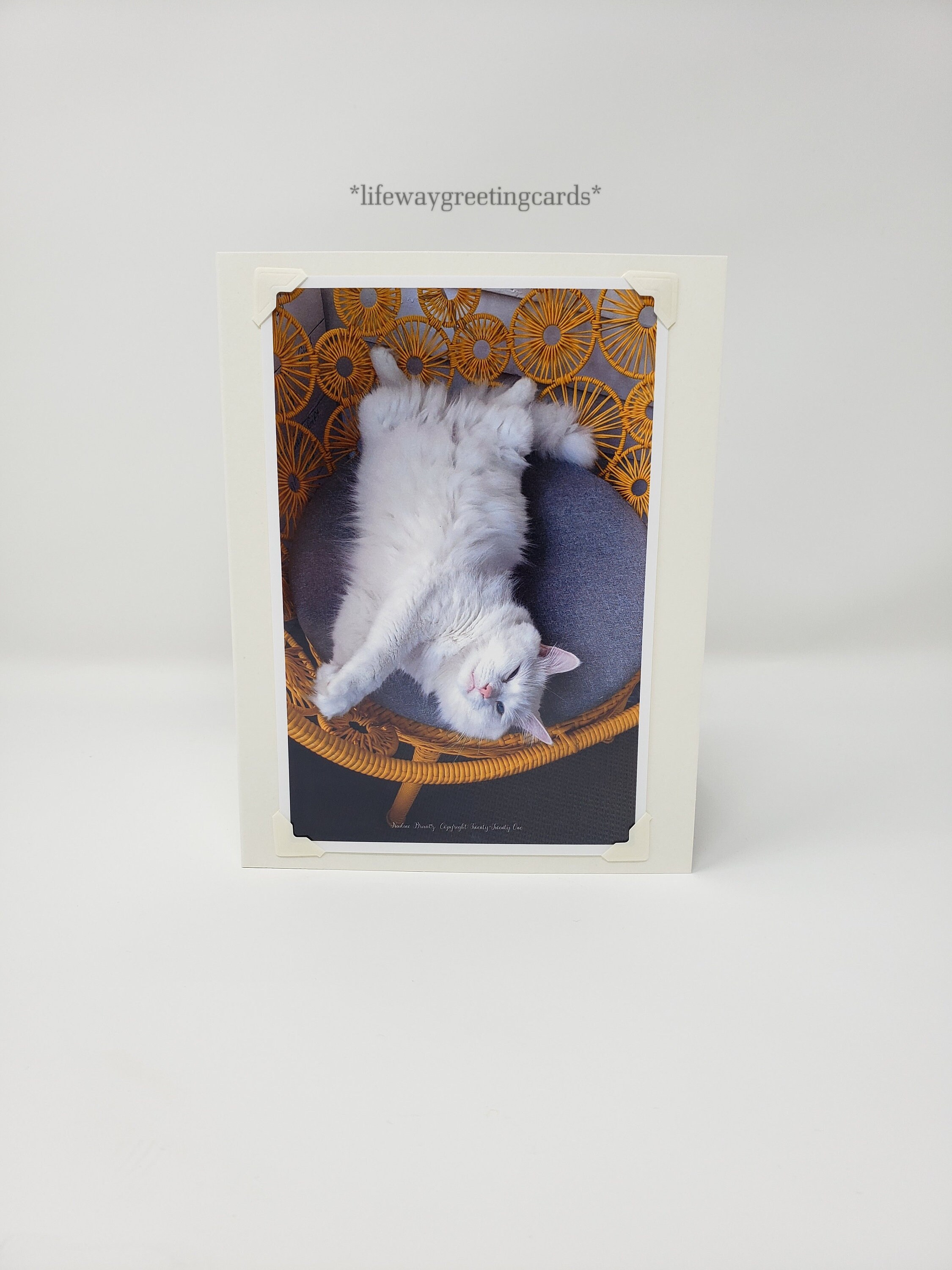 Sulley's Catnap ~ Blank Card - Etsy