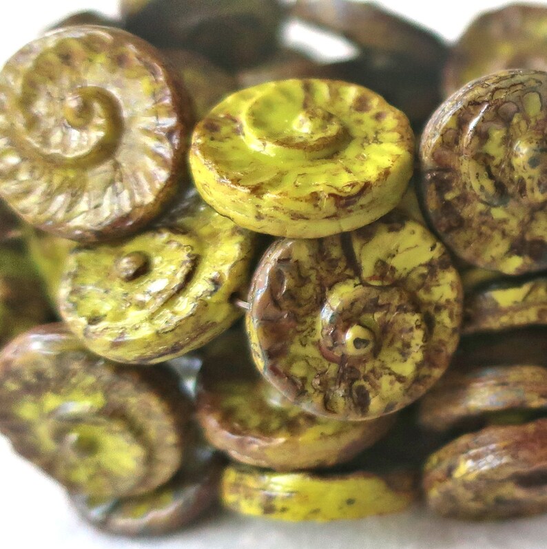 Six 18mm Large Czech Glass Snail Fossil Beads Opaque Avocado - Etsy
