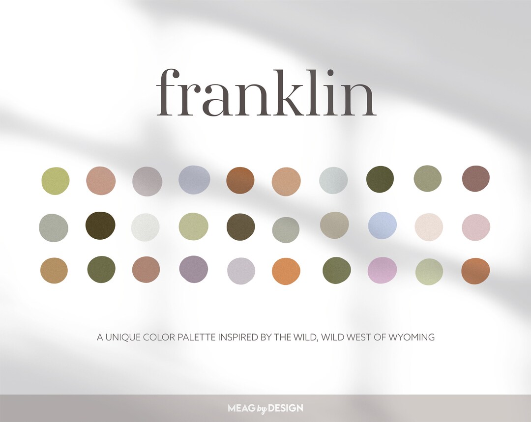 Franklin Procreate Color Palette, Nature Earth Tones (digital Download ...