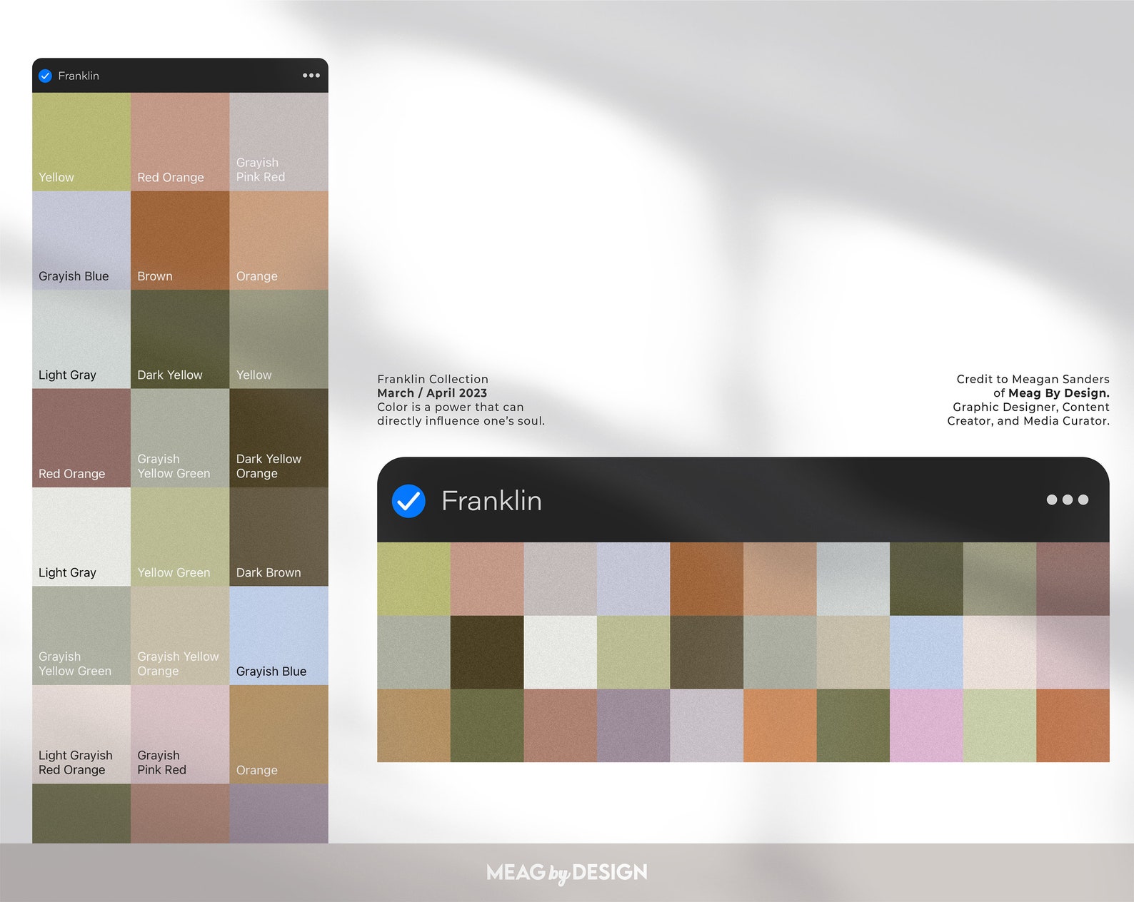 Franklin Procreate Color Palette, Nature Earth Tones (digital Download ...
