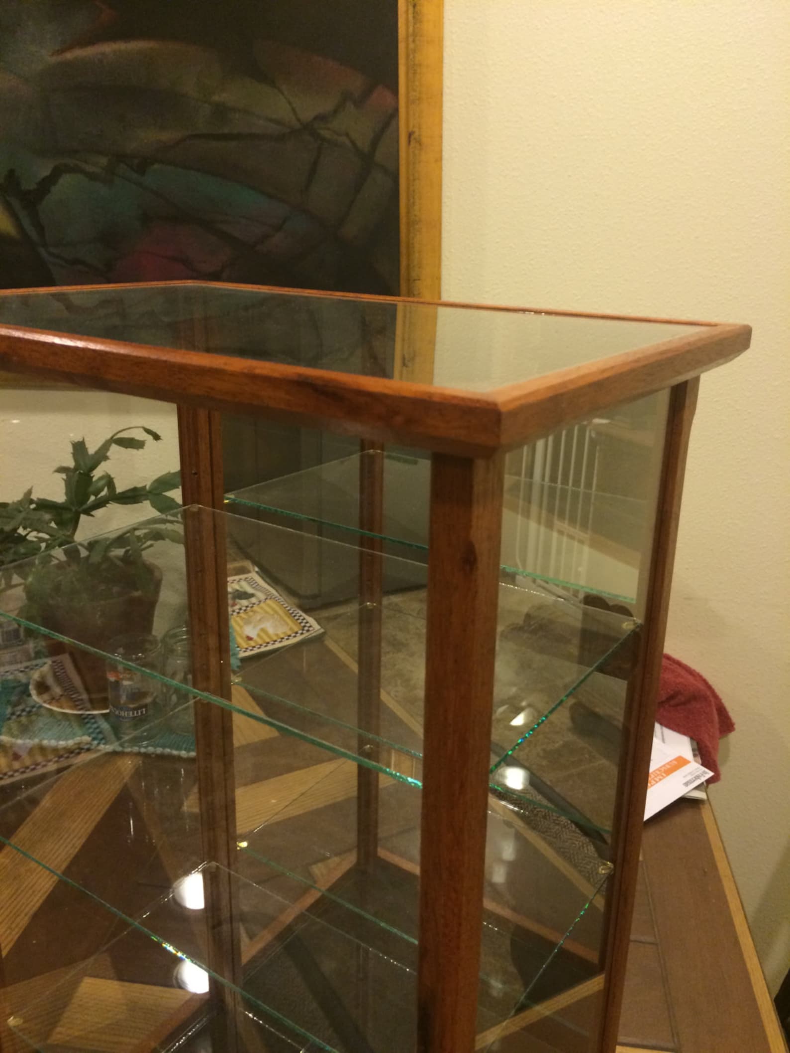 Wood and Glass Display Case for Miniatures, Models, Crystal Figurines ...