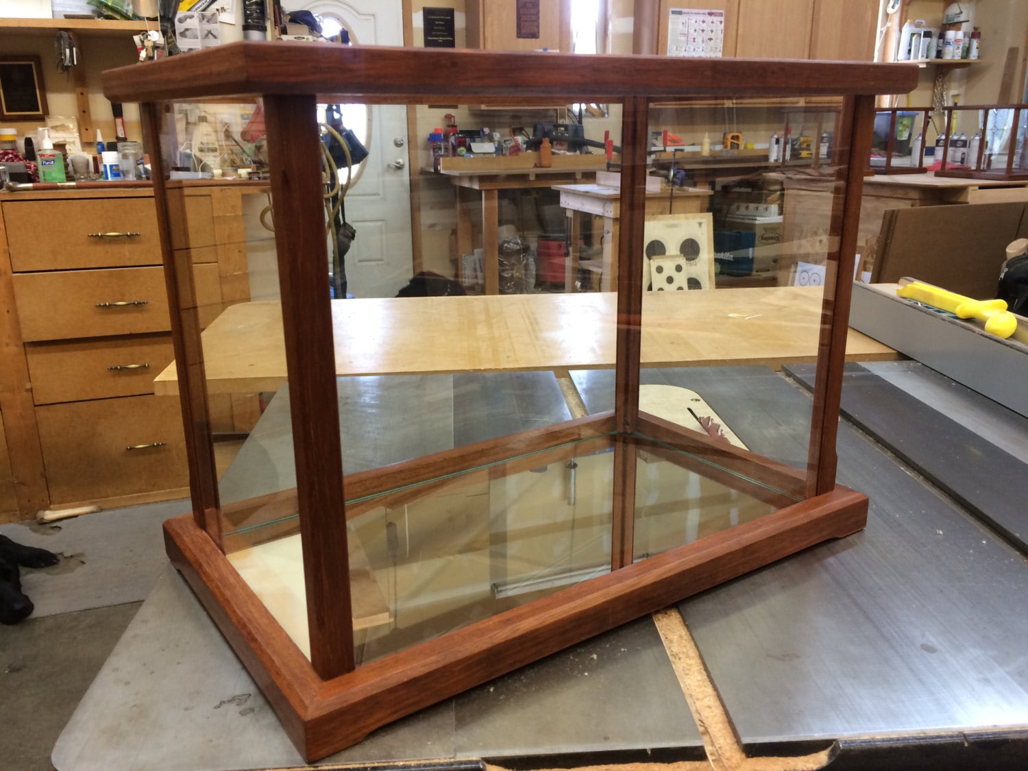 Wood / Glass Display Case for Collectables Asian Merbau /w Mirrored ...