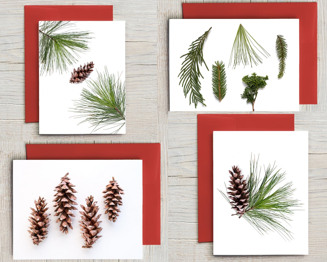 Nature Christmas Card Variety Packs (5+ Card Options), Holiday Cards ...