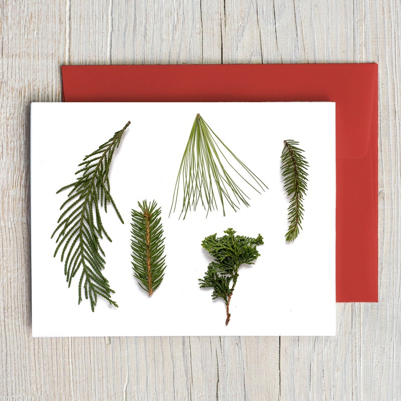 Holiday Cards - Etsy