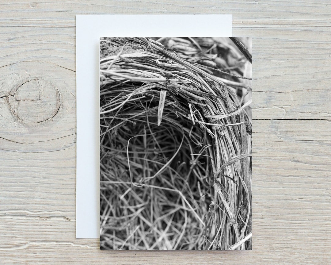 Empty Nester Card, Graduation Card, ("in the Nest(monochrome)" - Etsy
