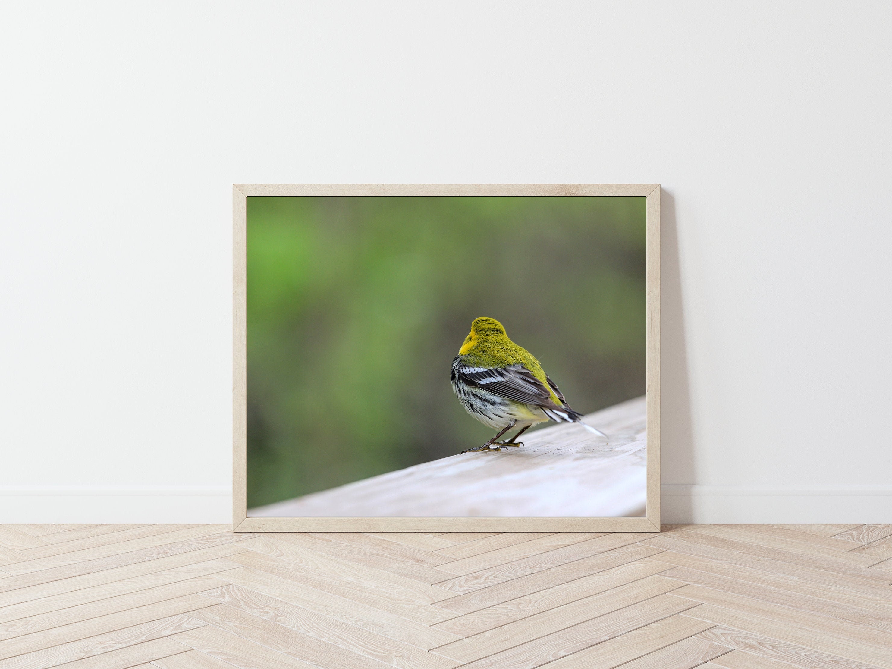 Bird Print, Warbler Print, Bird Lover Gift, Bird Wall Art, Nature ...