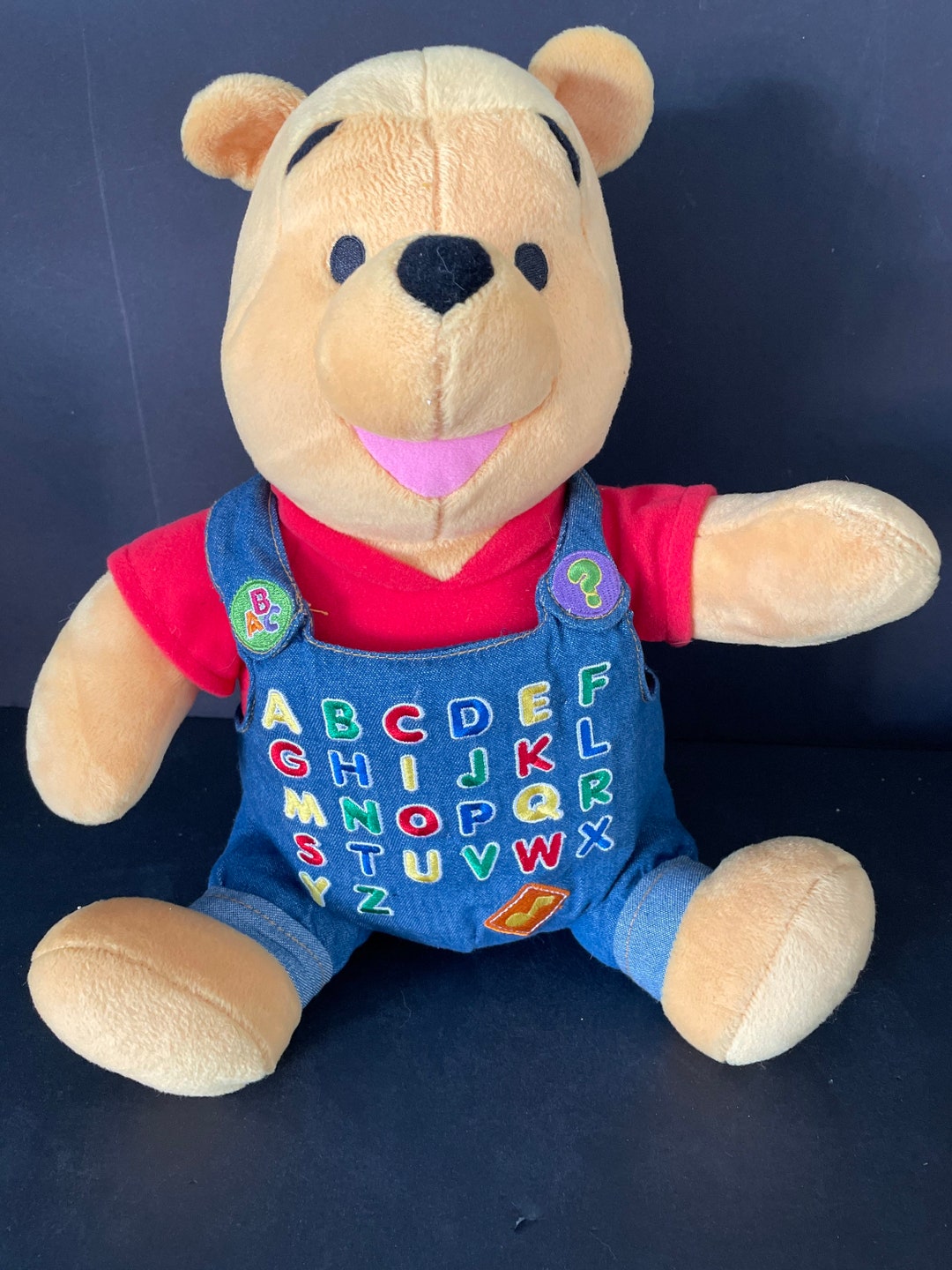 Plush Pooh A to Z, Interactive, 2000, Fisher Price, Disney - Etsy