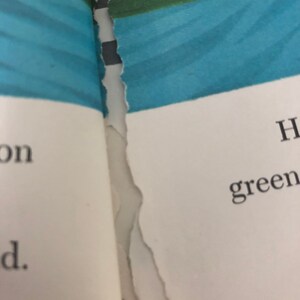 Alexander by Henry Littledale Illustrated by Tom Vroman - Etsy