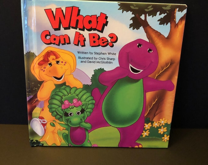 Vintage Barney Book: What Can It Be?— Pre-personalized Book for Kara - Etsy