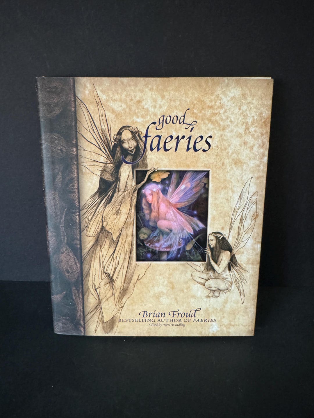 Good Faeries/bad Faeries by Brian Froud, Simon and Schuster Edition ...
