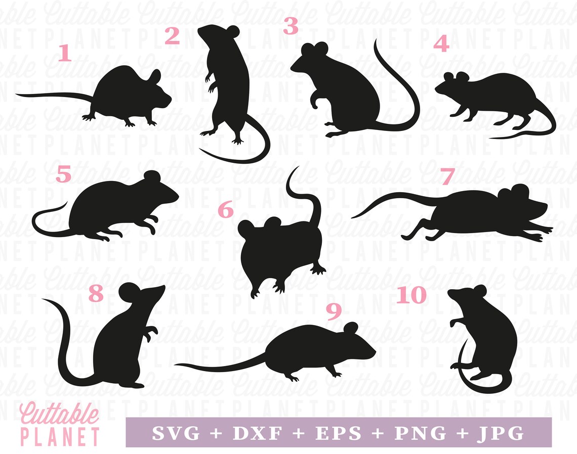 Rat Bundle Svg Dxf Eps Png Jpg Rat Pack Svg Rat Svg Rat - Etsy