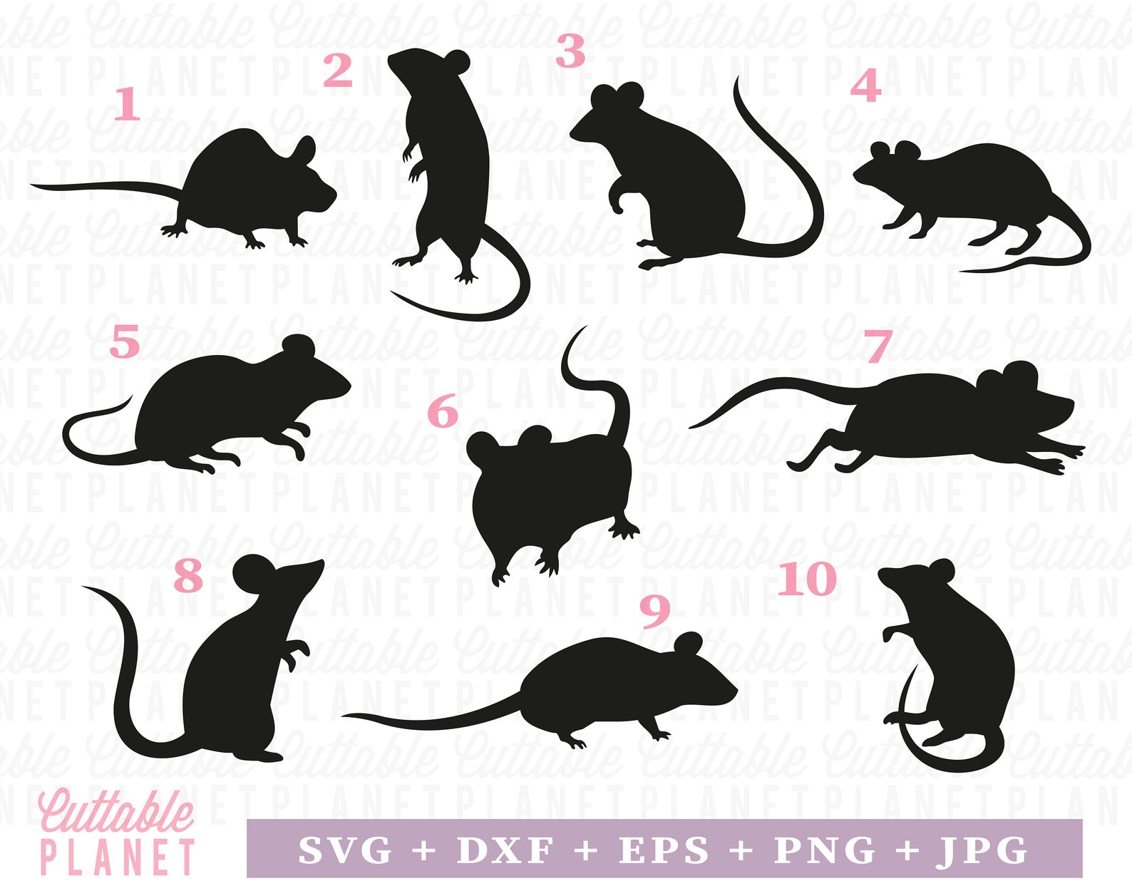 Rat Bundle Svg Dxf Eps Png Jpg Rat Pack Svg Rat Svg Rat - Etsy