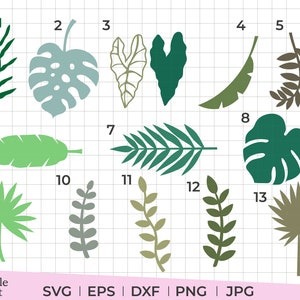 Tropical Leaves Svg, Eps, Dxf, Png, Jpg, Jungle Leafs Svg, Tropical ...