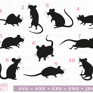 Rats Silhouette Svg, Dxf, Eps, Png, Jpg, Rat With Moustache Svg ...