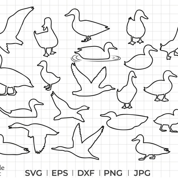 Duck Svg - Etsy