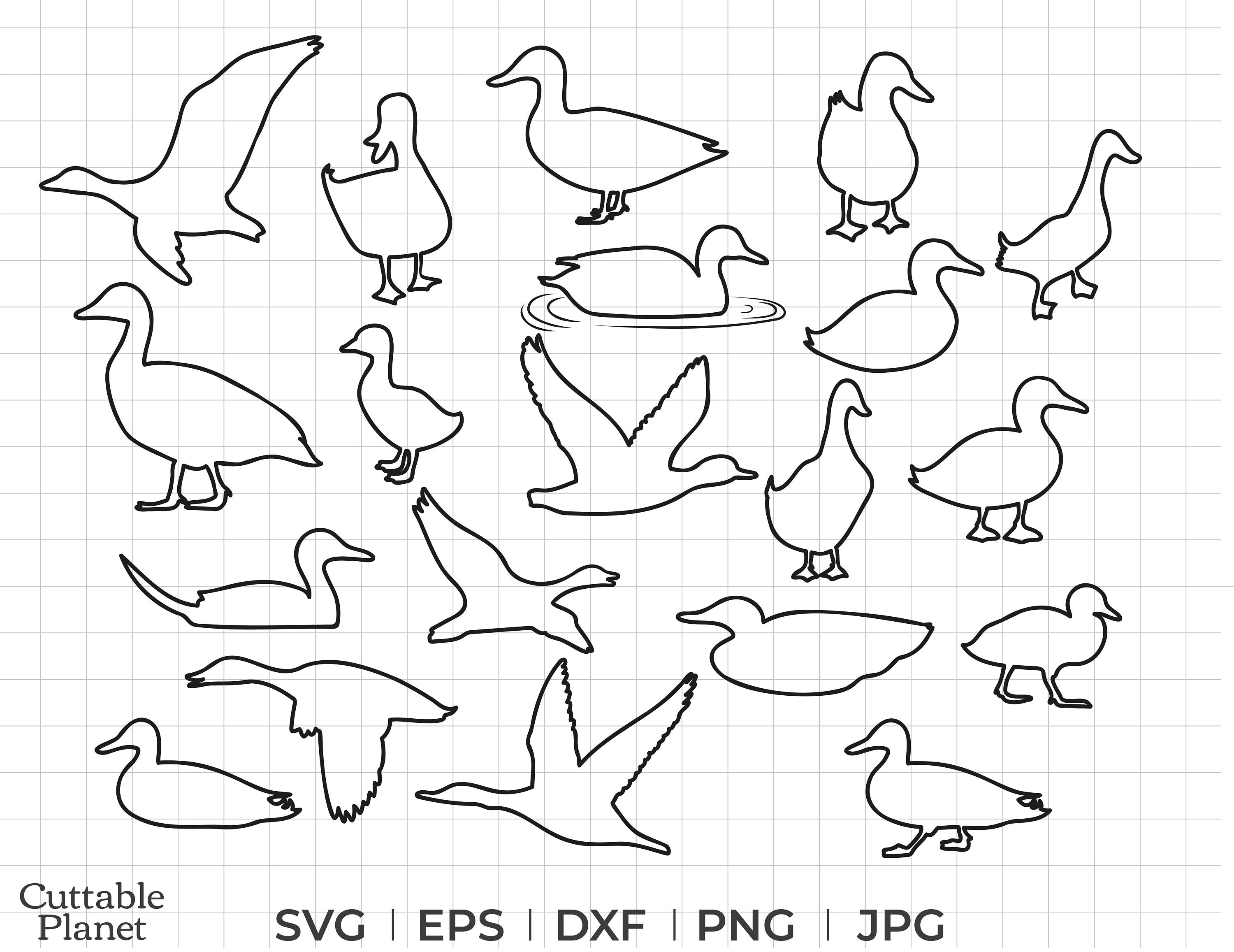 Silueta Vectorial De Patos Voladores Esbozo De Pato Stock De Foto