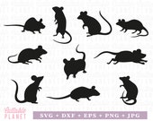 Rat Bundle Svg Dxf Eps Png Jpg Rat Pack Svg Rat Svg Rat - Etsy