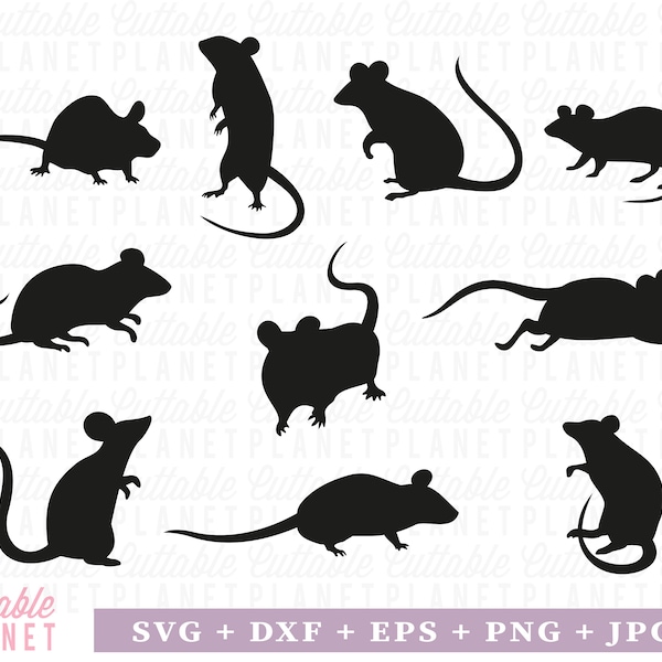Mouse Rat Svg - Etsy