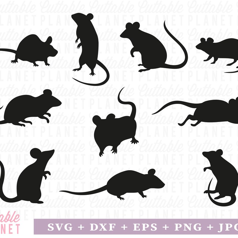 Mouse Rat Svg - Etsy