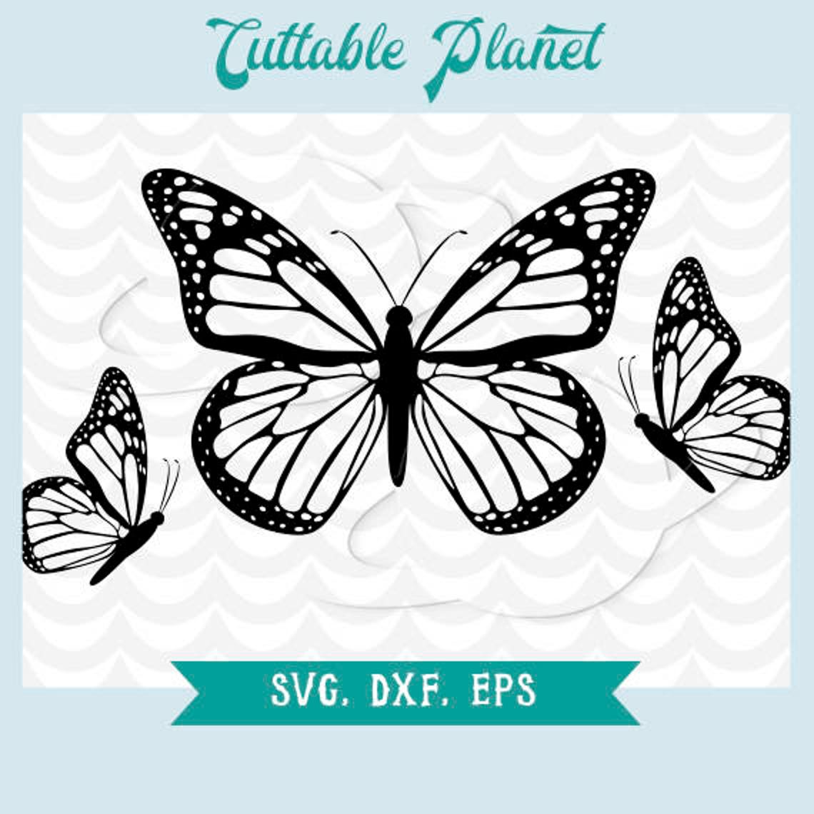 Papillon svg eps papillon papillon dxf png papillon - Etsy France