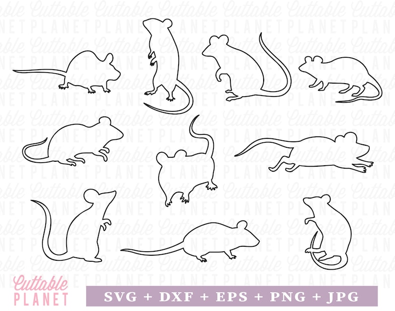 Rats Outline Svg Dxf Eps Png Jpg Outline Rat Mice Svg - Etsy UK