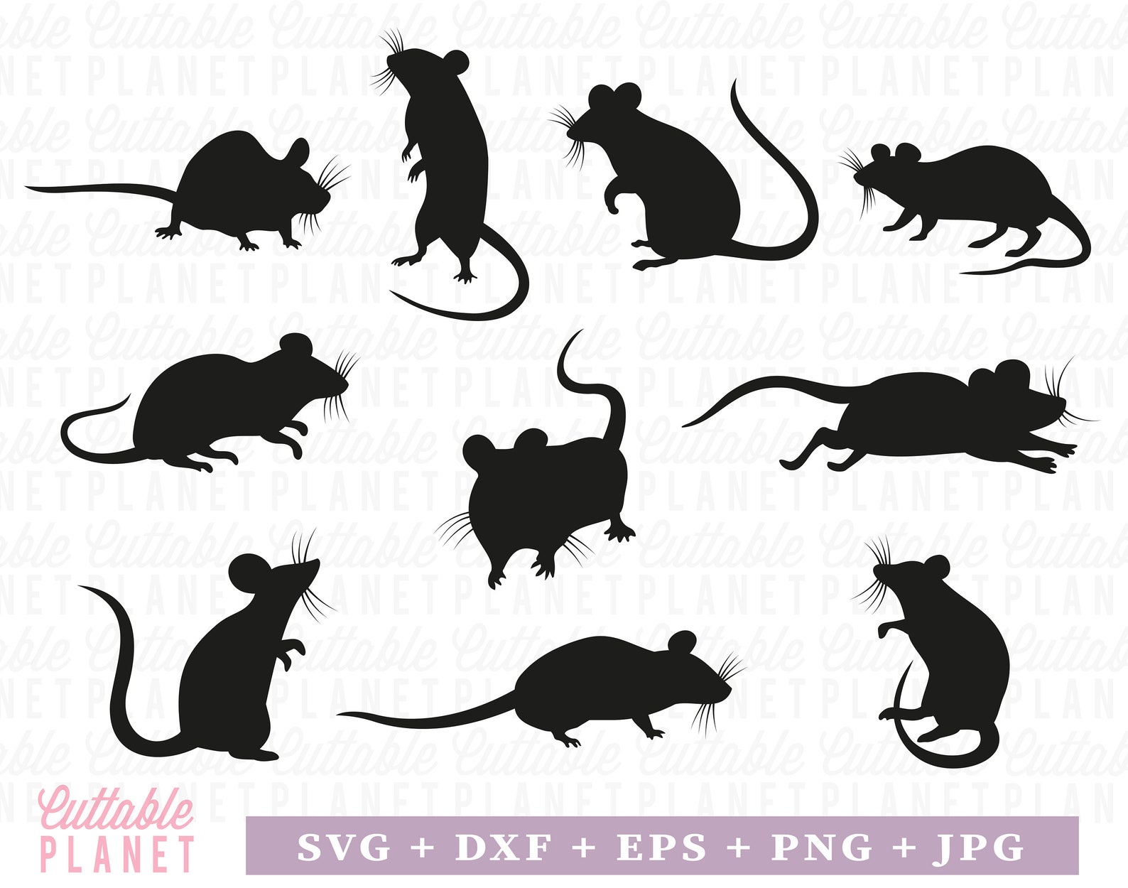 Rats Silhouette Svg Dxf Eps Png Jpg Rat With Moustache - Etsy