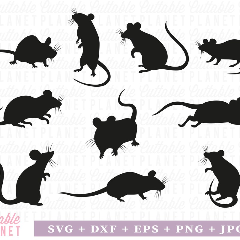 Mouse Rat Svg - Etsy
