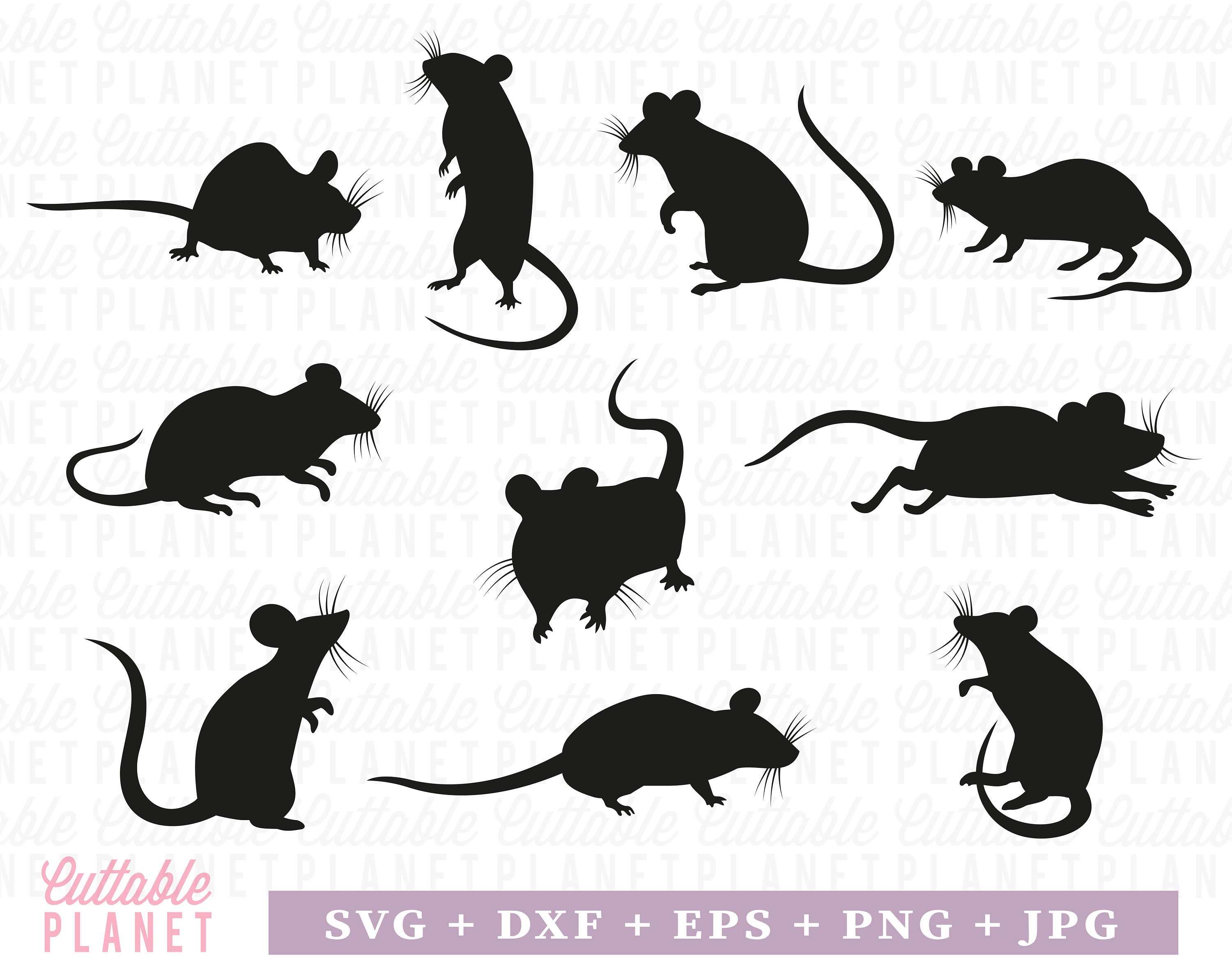 Silueta de ratas svg dxf eps png jpg rata con bigote svg - Etsy México