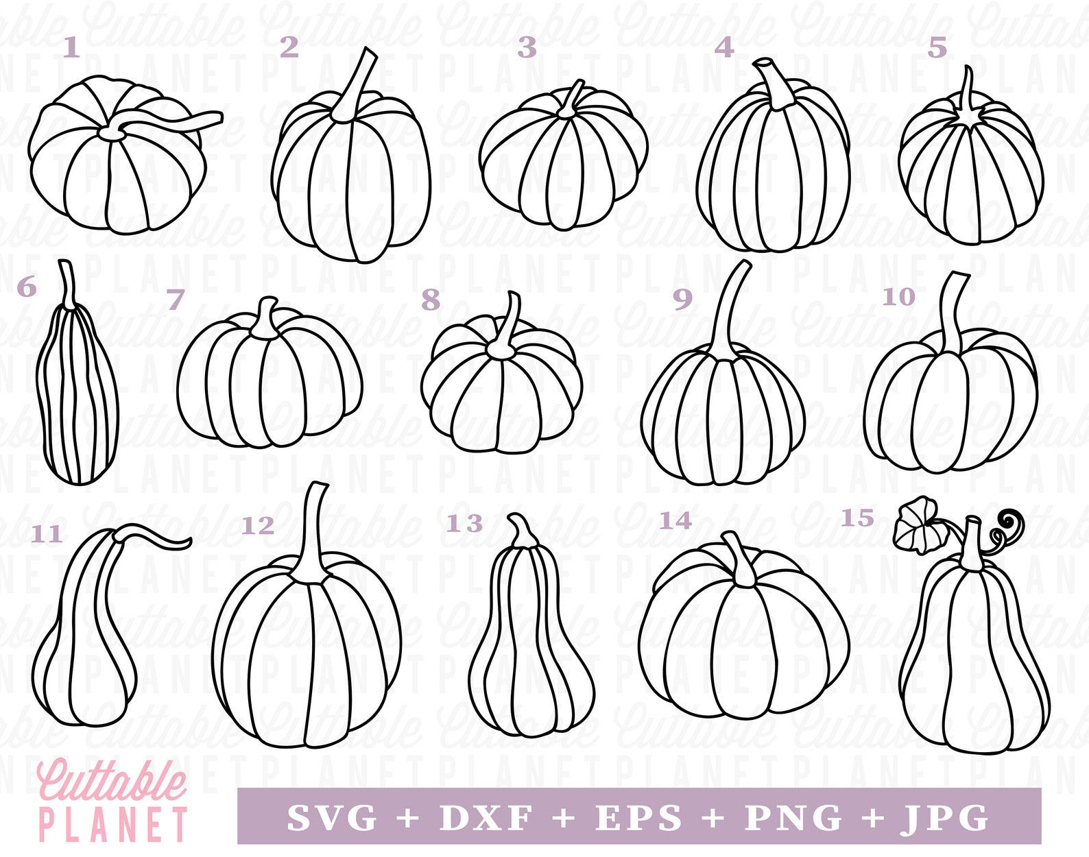 Outline Pumpkin Svg Dxf Eps Png and Jpg Outline Pumpkin - Etsy