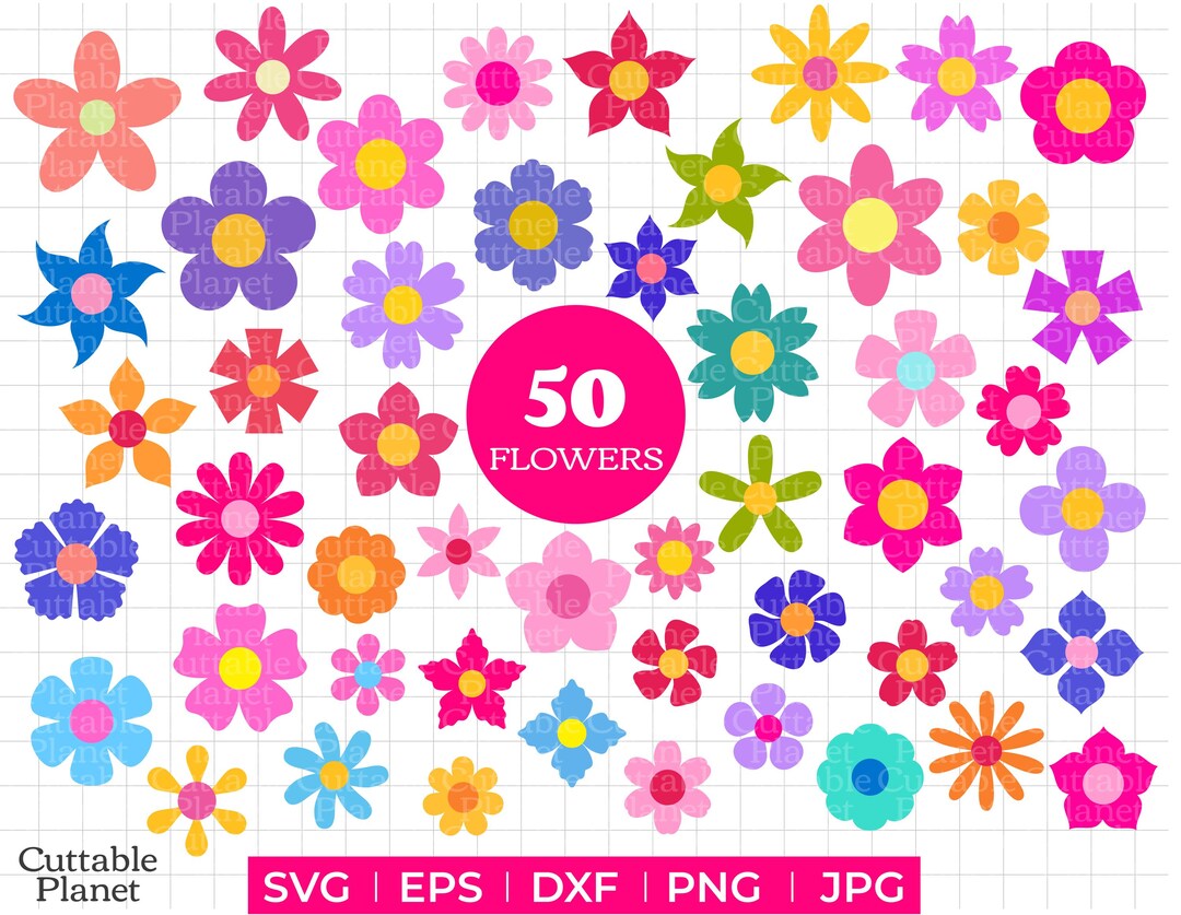 Color Flower Svg, Flower Png Files, Daisy Svg, Daisy Png, Colored ...