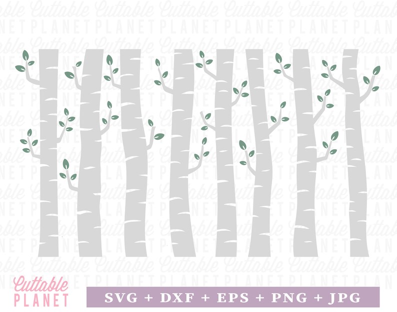 Birch Tree Svg Dxf Eps Png Jpg Silver Birch Svg Leaves - Etsy