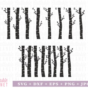 Birch Silhouette Svg, Dxf, Eps, Png, Jpg, Birch Tree Trunk Svg, Birch ...