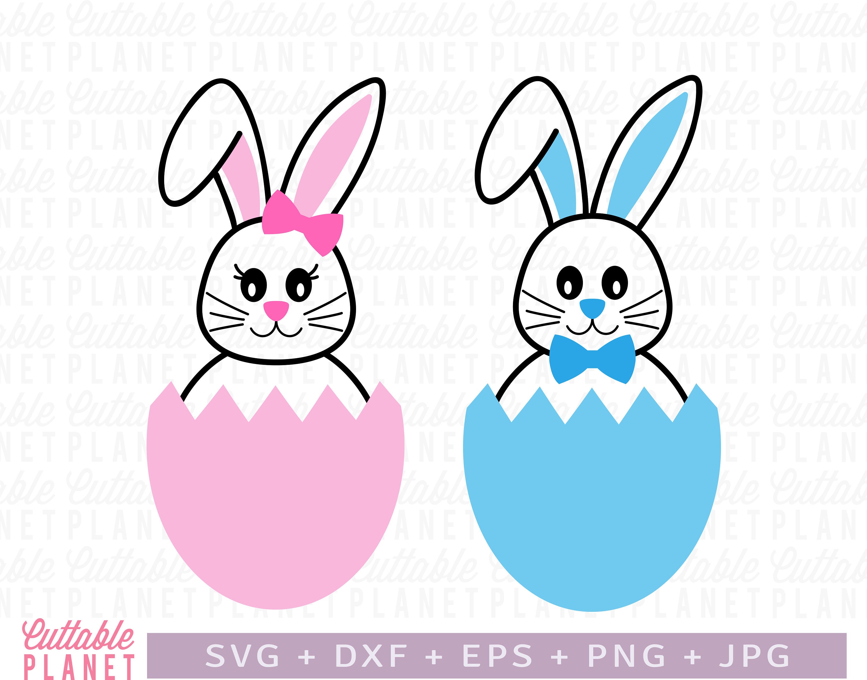 Cracked Egg Svg Easter Egg Svg Bunny in Cracked Egg Svg | Etsy