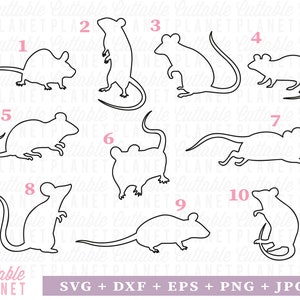 Rats Outline Svg, Dxf, Eps, Png, Jpg, Outline Rat Mice Svg, Mouse Outline Svg, Rat Outline Clip ...