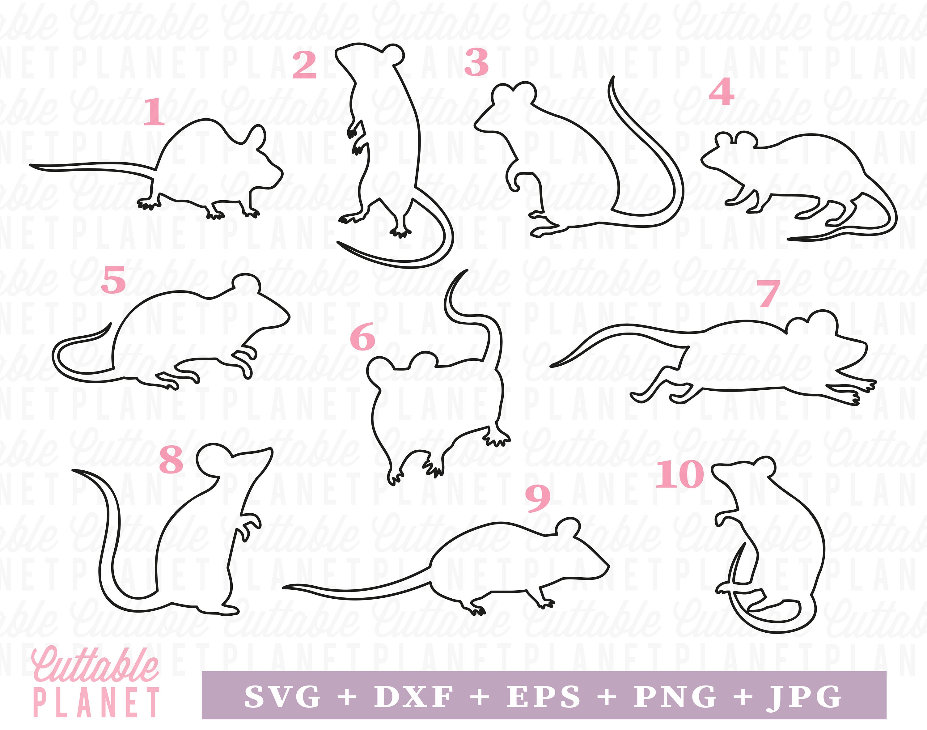 Esquema de ratas svg, dxf, eps, png, jpg, contorno de ratones de rata ...