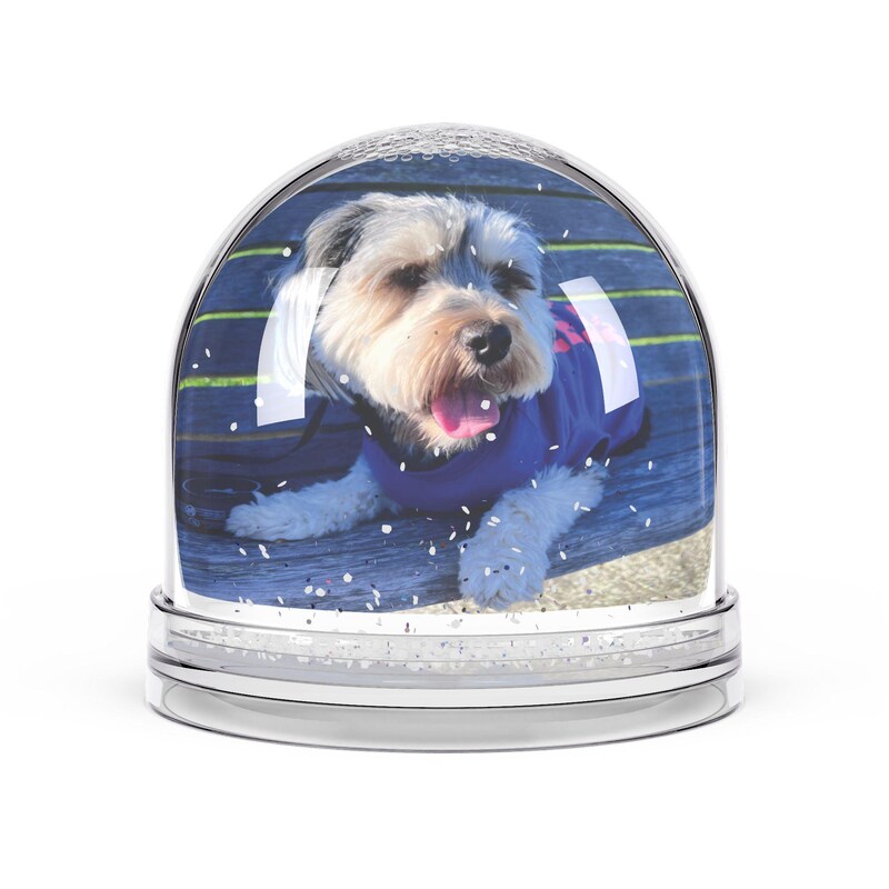 Photo Snow Globe - Etsy