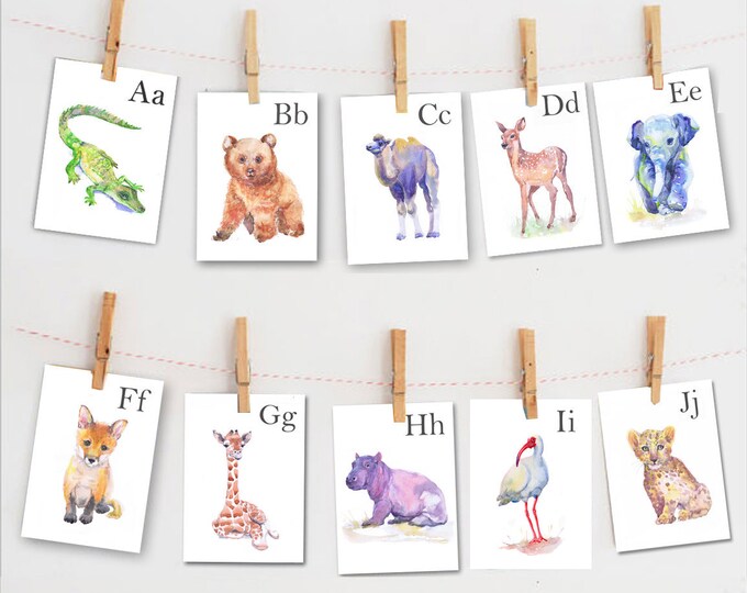 Nature Alphabet Flash Cards / Science ABC Flashcard Set Printed With ...