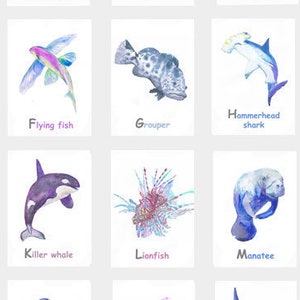 ABC Flash Cards Sea Creatures Alphabet Ocean Animals Watercolor ...