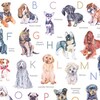 ABC Flash Cards Dog Breeds Alphabet, Animals Watercolor Painting ...