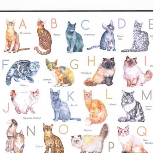 Cat in Watercolor - Etsy