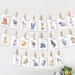 Animal Alphabet Cards ABC Flashcards Watercolor A-Z Flash - Etsy